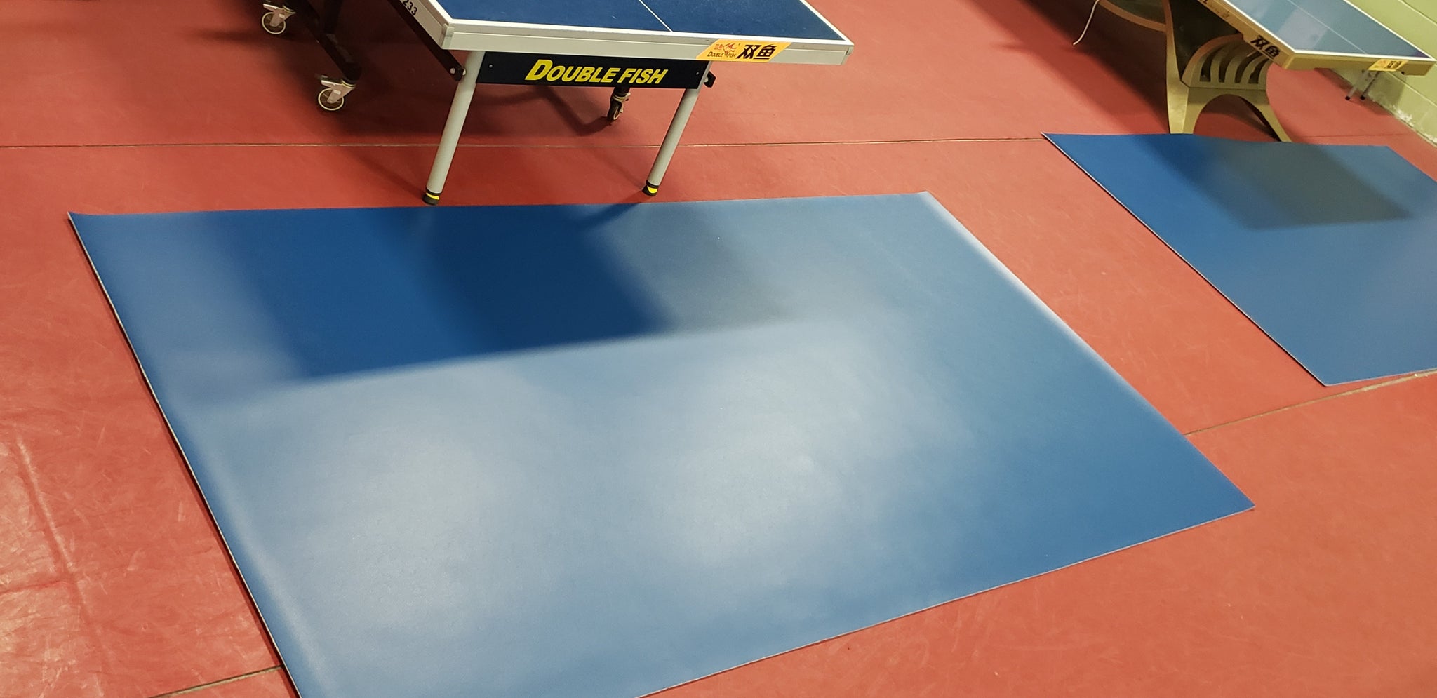 Double Fish Table Tennis PVC Floor Mat (5.9 x 11 Feet) – My Table ...