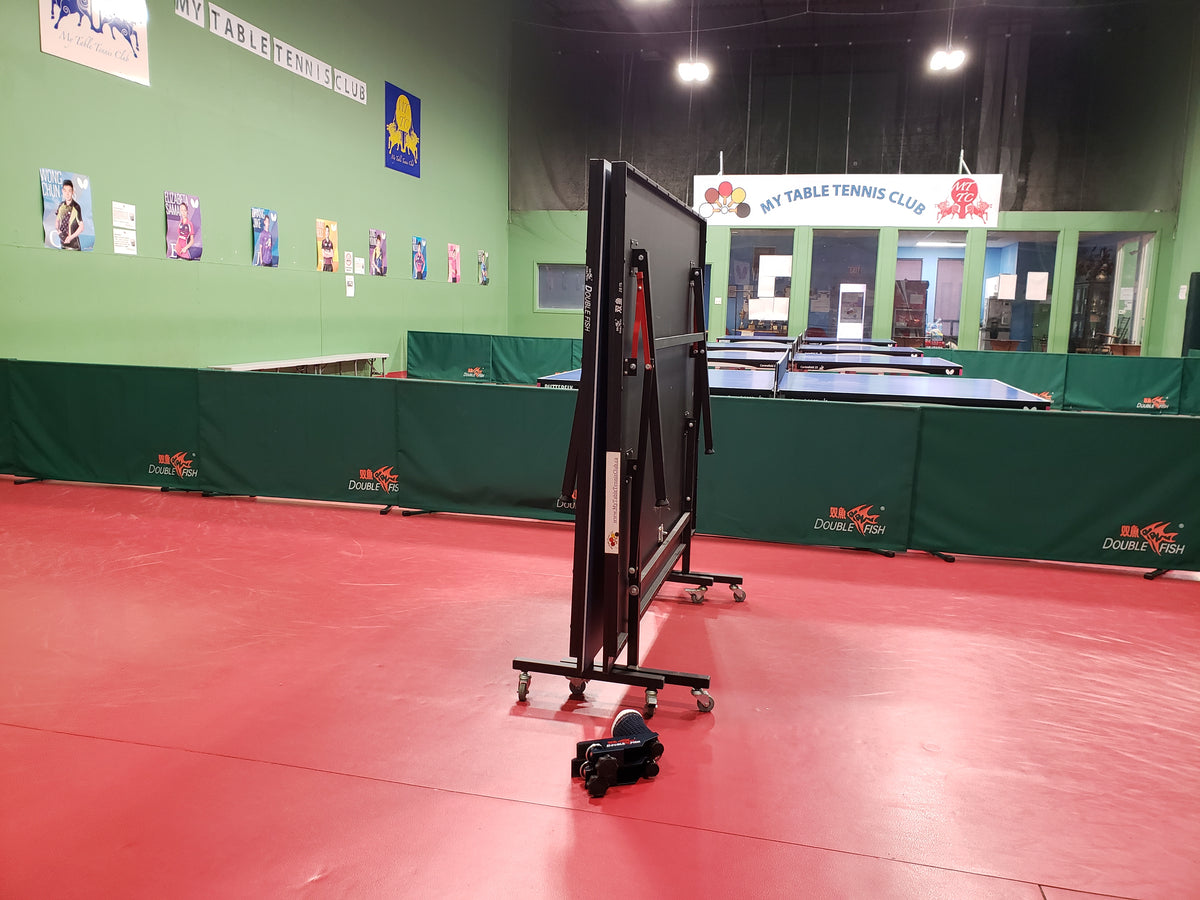 Double Fish 15mm Top Table 201 – My Table Tennis Club