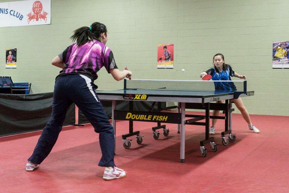 Double Fish 25mm ITTF Table 233 – My Table Tennis Club